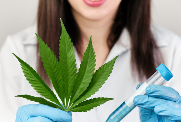 The Top Ten Cannabis Cannabinoids Exploring Natures Healing Compounds
